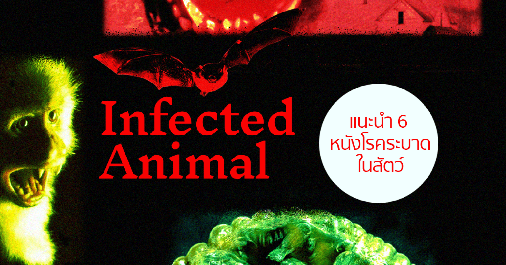 Infected Animal แนะนำ 6 หนังโรคระบาดในสัตว์