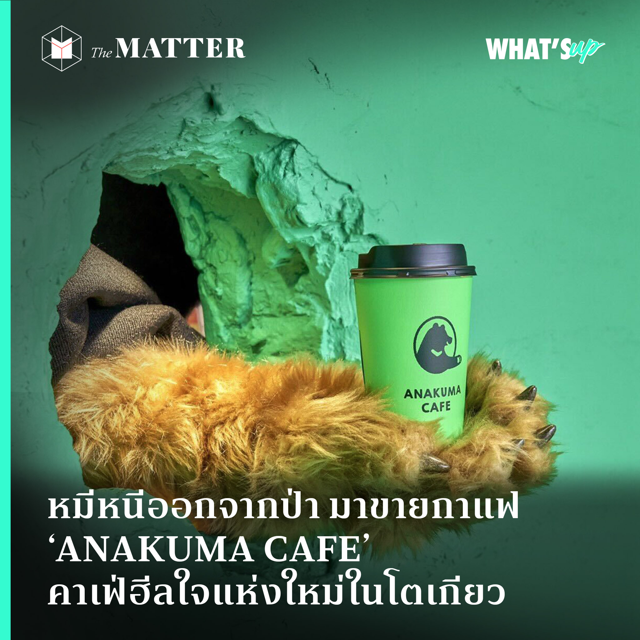 หมีหนีออกจากป่า มาขายกาแฟ ‘ANAKUMA CAFE’ คาเฟ่ฮีลใจแห่งใหม่ในโตเกียว