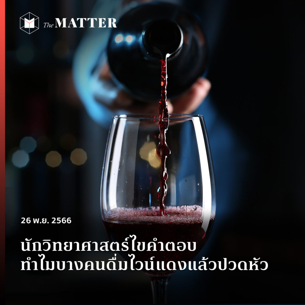 นักวิทยาศาสตร์ไขคำตอบ ทำไมบางคนดื่มไวน์แดงแล้วปวดหัว